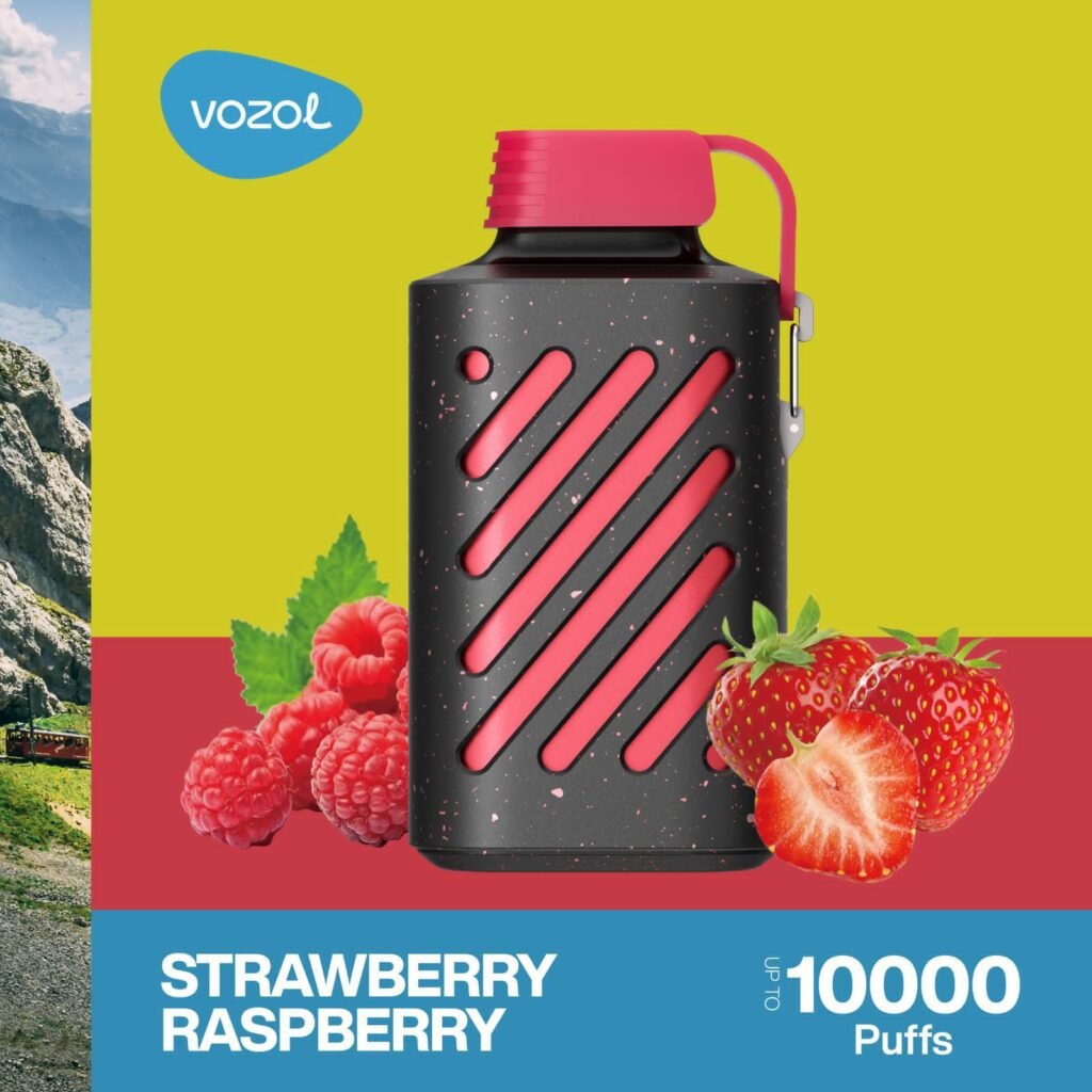 Vozol Gear 10000 Puffs Best Disposable