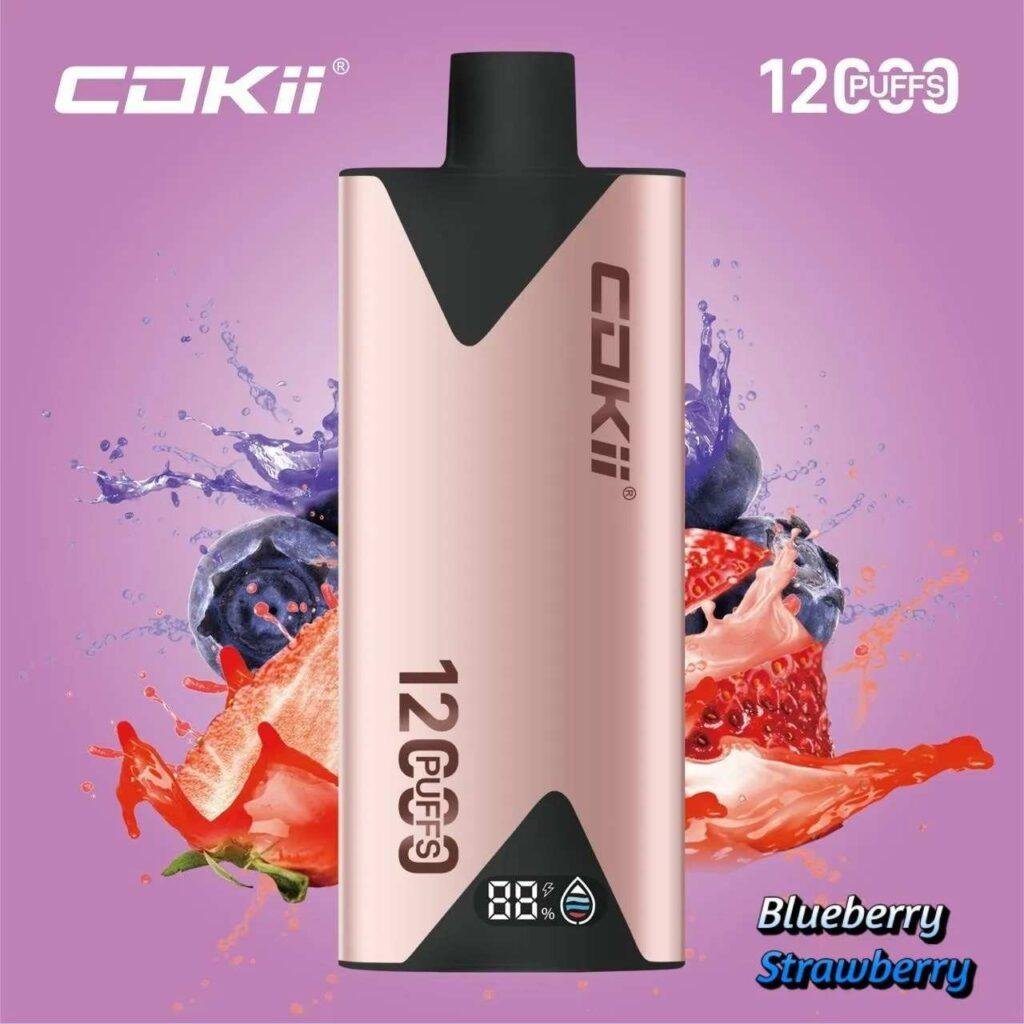 Cokii 12000 Puffs 0% Nicotine Elite Disposable Vape in Dubai